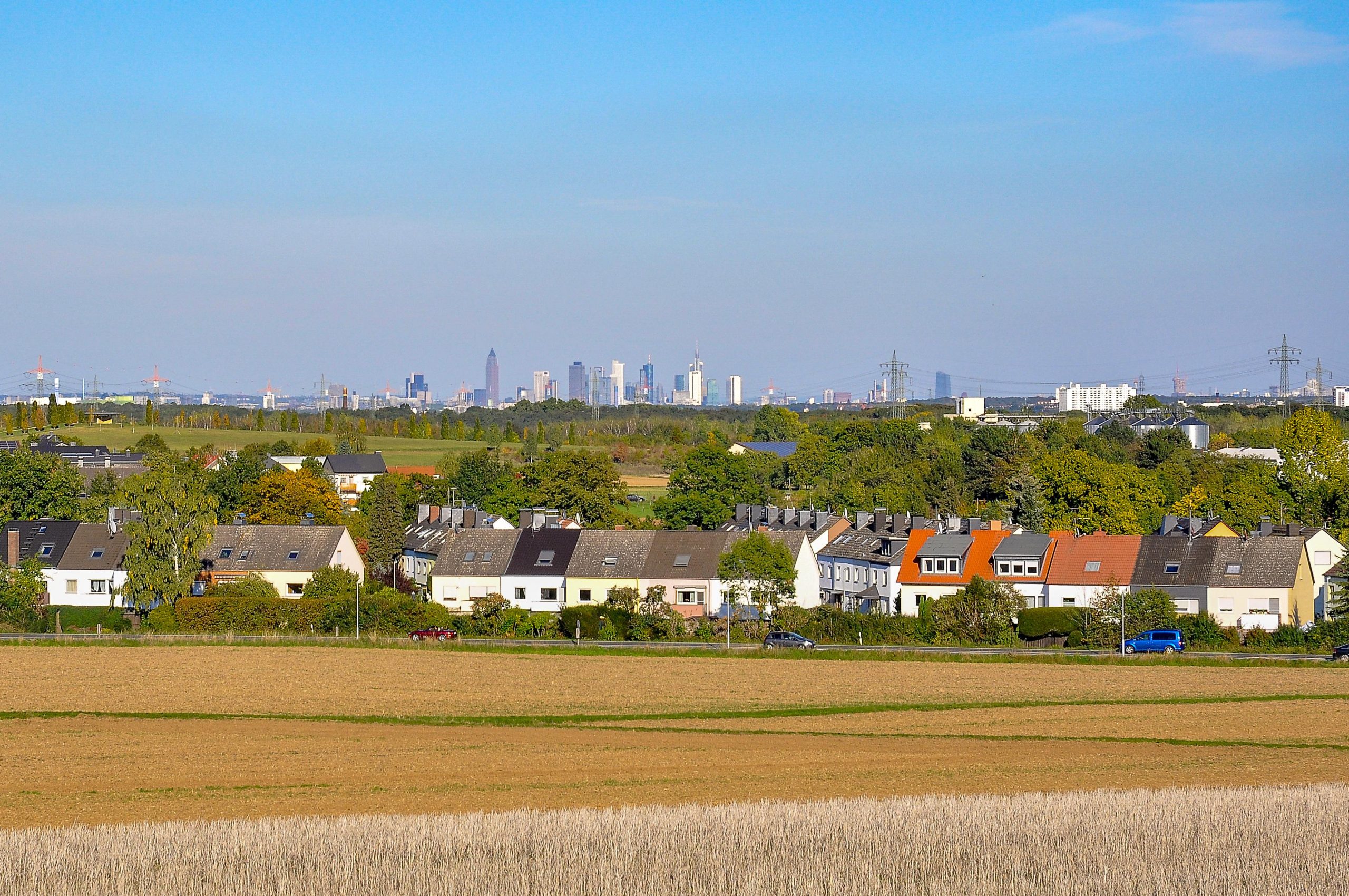 Metropolitan Region Frankfurt/Rhein-Main - METREX
