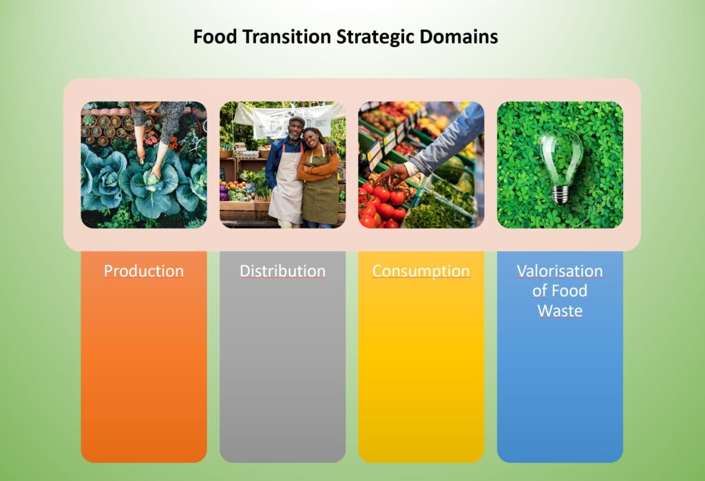 CASE #1: FOOD TRANSITION STRATEGIES - METREX